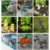 Kids Toy Mini Building Blocks Micro Bricks Eagle Moose Dog Cat Bird ...