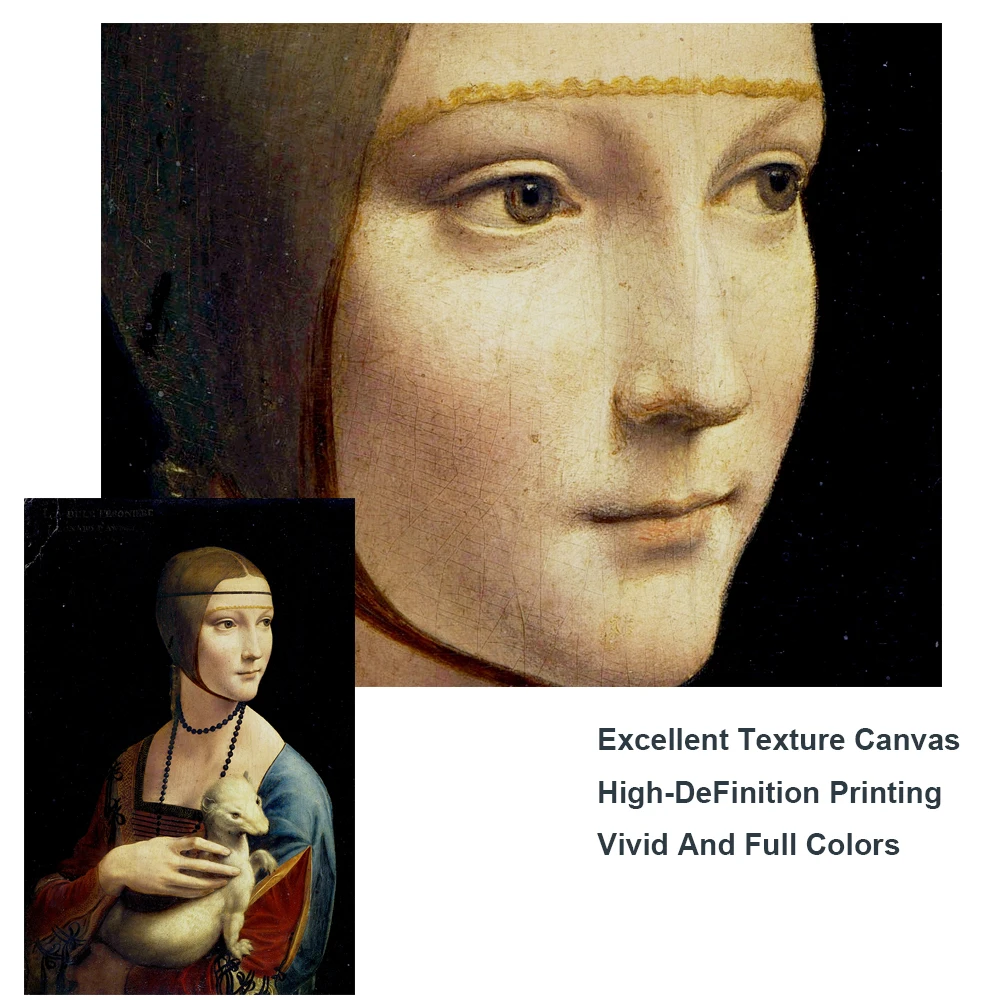 Classical Art The Lady with an Ermine by Leonardo da Vinci • CanvasPaintArt