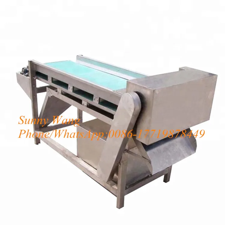 Vegetable Cutter/multi-function Kelp Cutting/shredding Machine/fungi ...