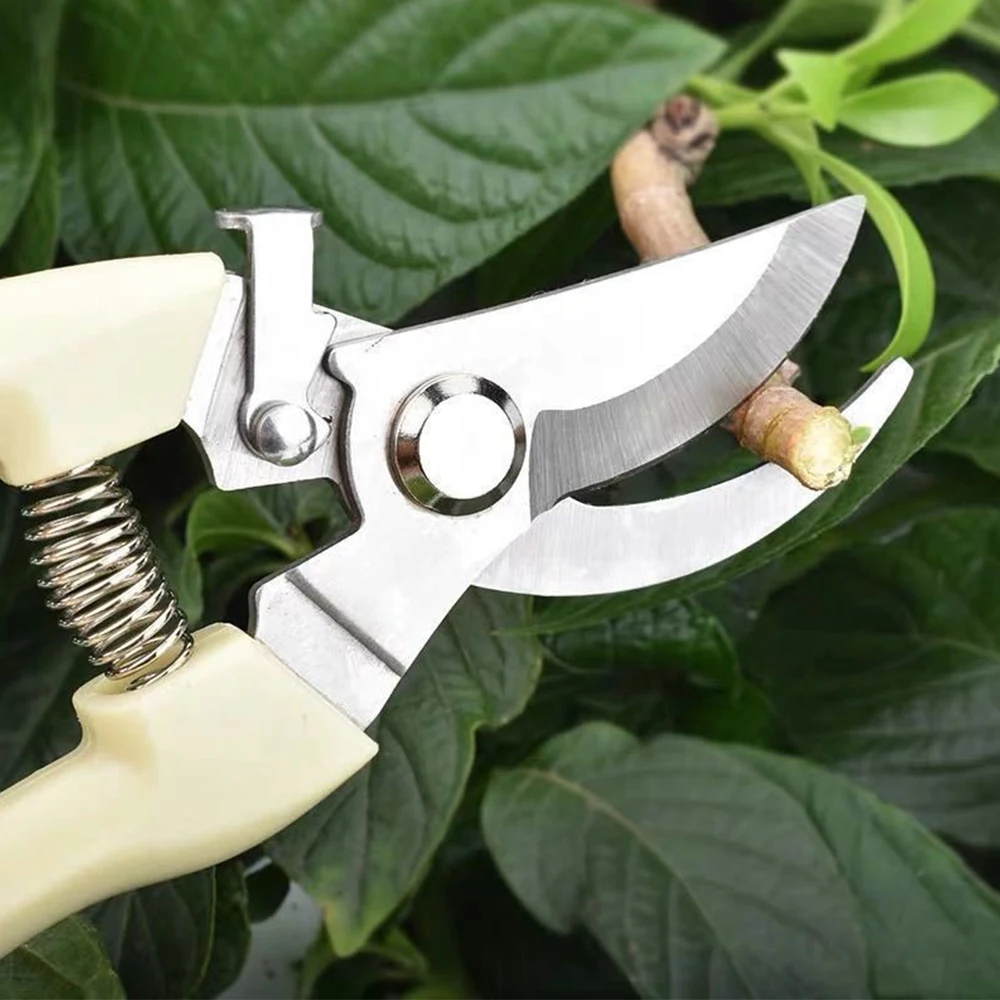Garden Tools Plant Trim Horticulture Hand Pruner Cut Secateur Shrub ...