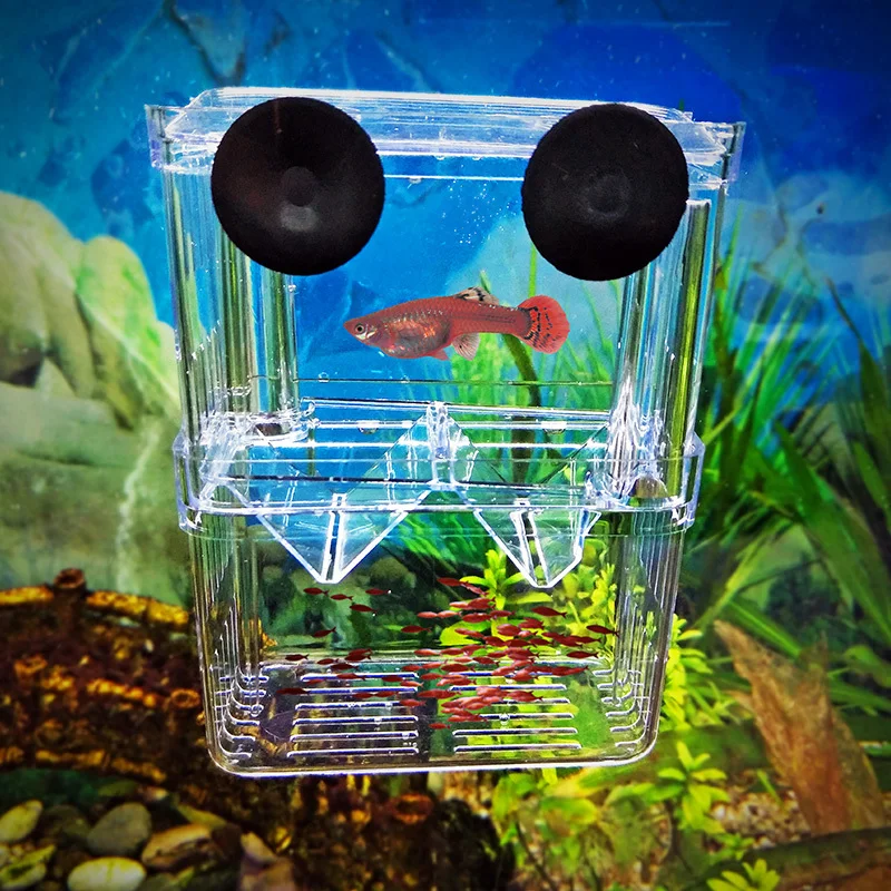 Acrylic Double Layer Fish Tank Fry Hatching Incubator Clear Suspension ...