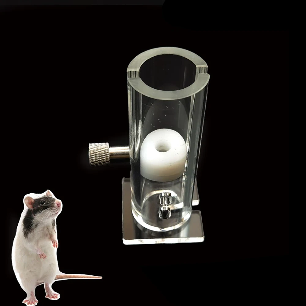 Transparent Lab Mouse