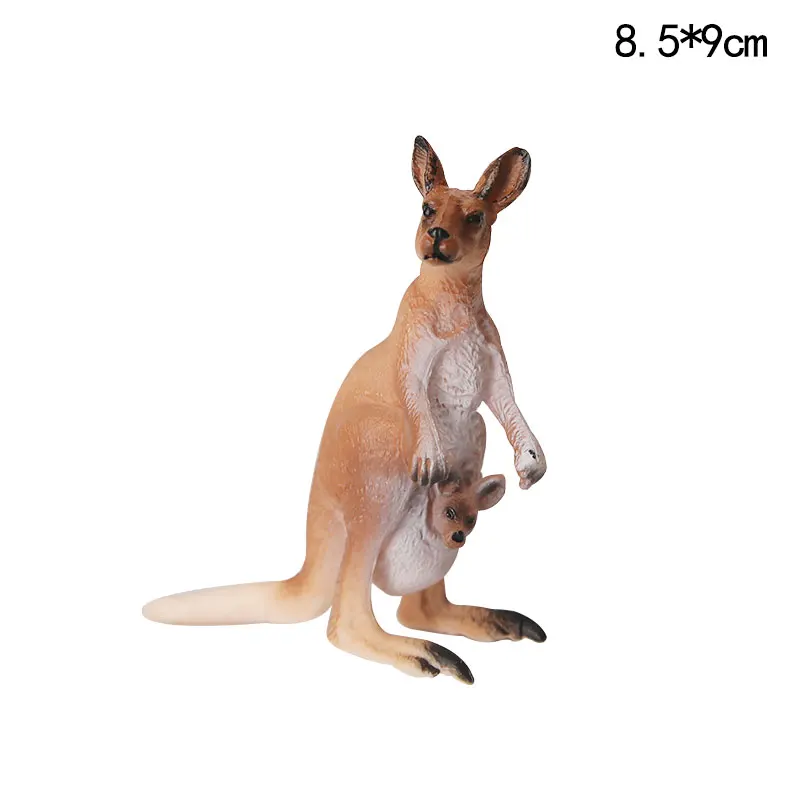 Joyeux Anniversaire Kangourou