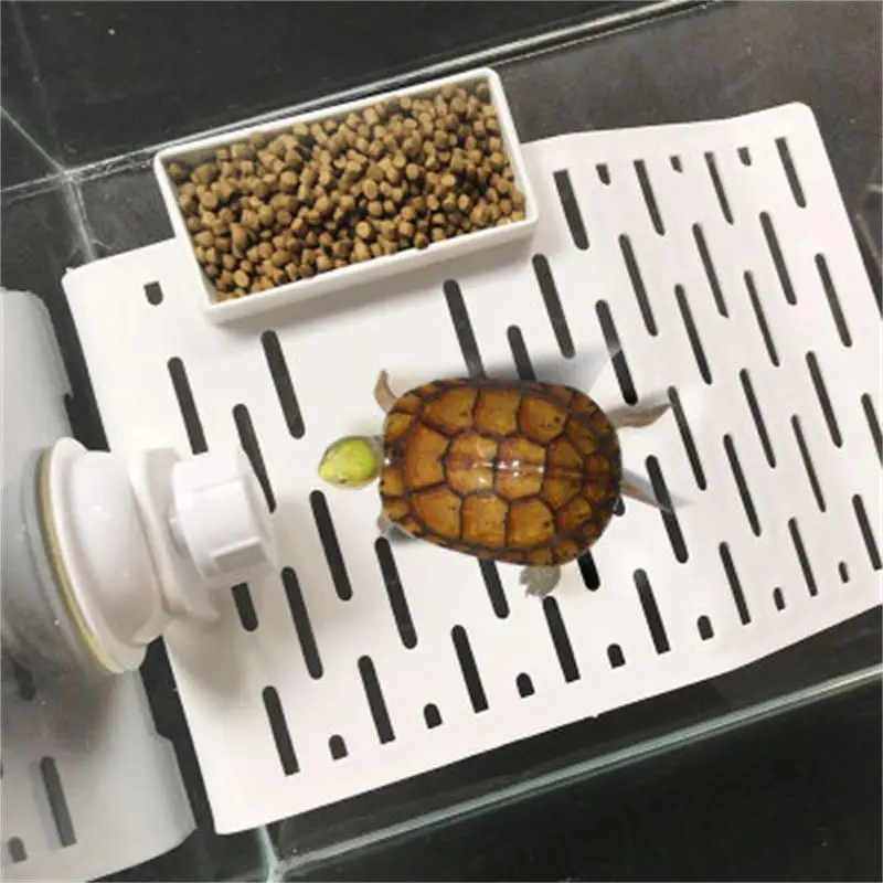 New Platform Turtle Island Reptile Hollow Aquarium Floating Dock ...