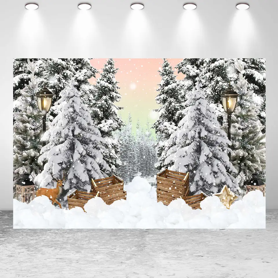 Winter Photography Backdrops