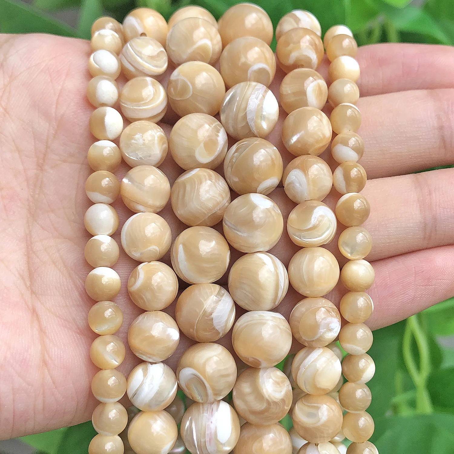 Natural-Trochus-Shell-Stone-4-6-8-10-mm-Round-Loose-Beads-15inches ...
