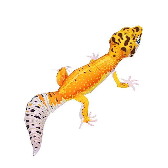 Gecko Lizard Cute