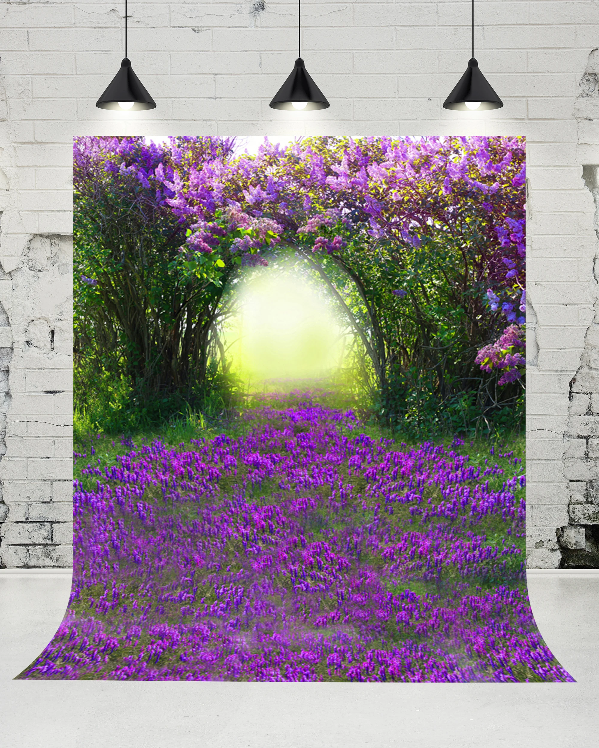 VinylBDS Digital Printing Photography Backdrops Lavender Hollow Cartoon ...