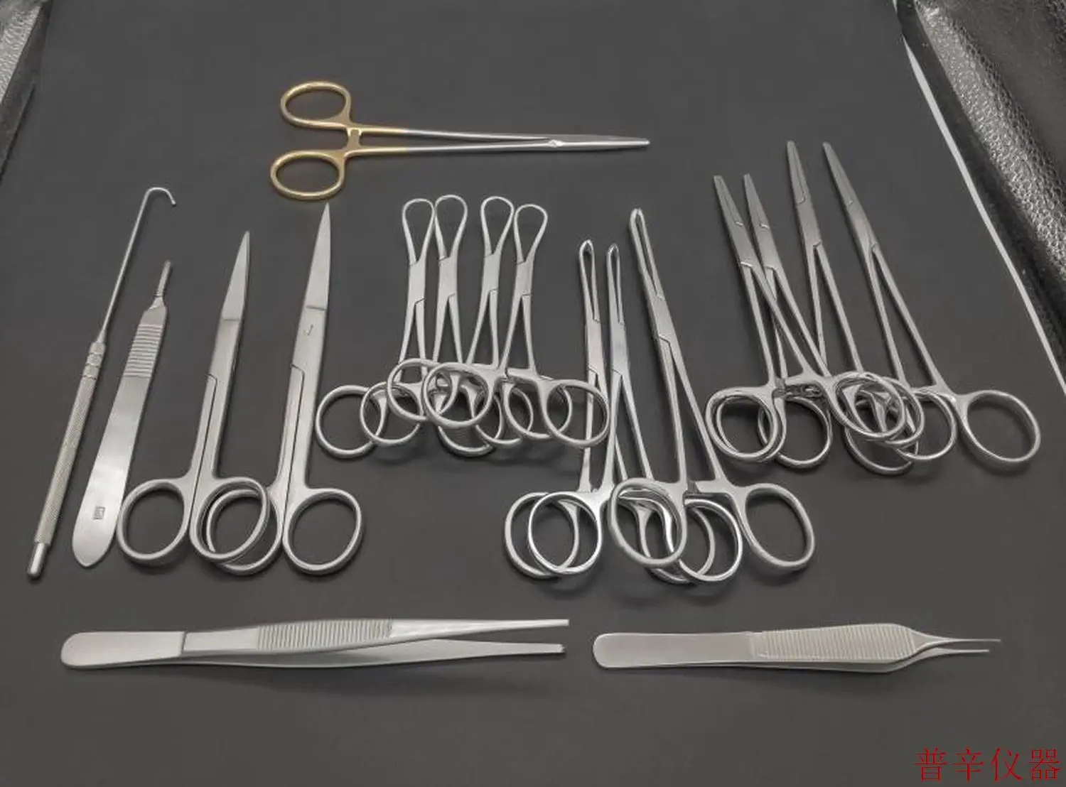 Set of pet surgical instruments. Sterilization instruments for cats and ...