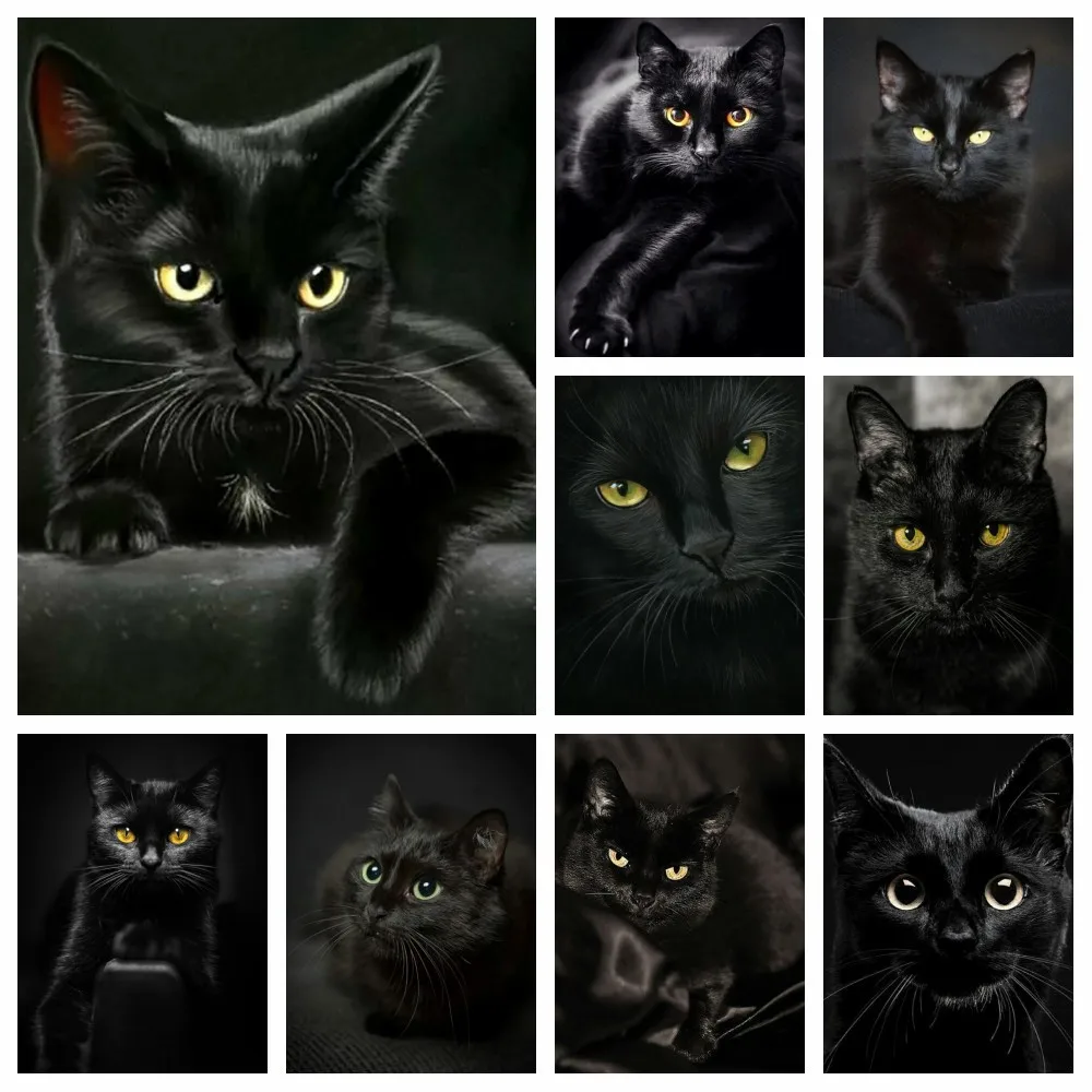 5d Diamond Painting Full Drill Black Cat | Black Cat Diamond Painting ...