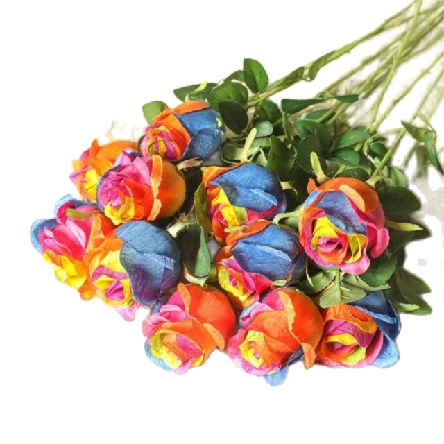 Single Stem Rainbow Rose
