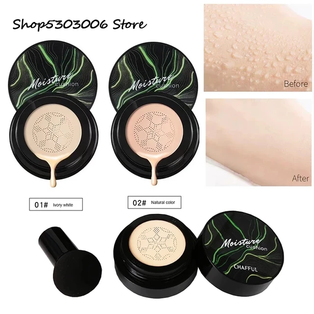 Korean Bb Cream Compact Great Selection | www.pinnaxis.com