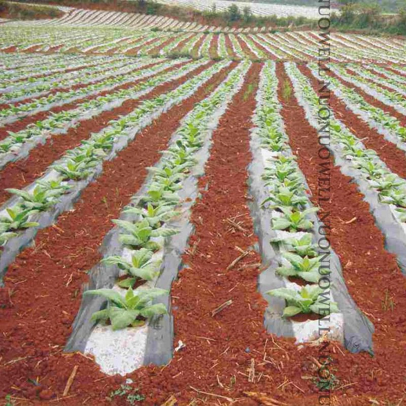 5m White And Black Agriculture Garden Film Vegetable Planting Plastic ...