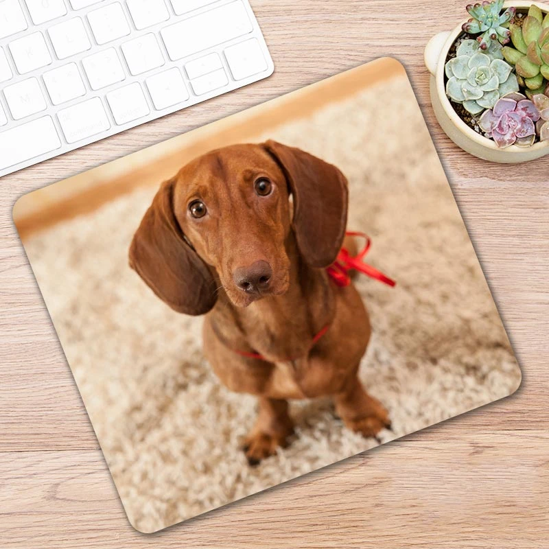 C-o-animal-dachshund-dackel-teckel-computador-tablet-gamer-computador ...