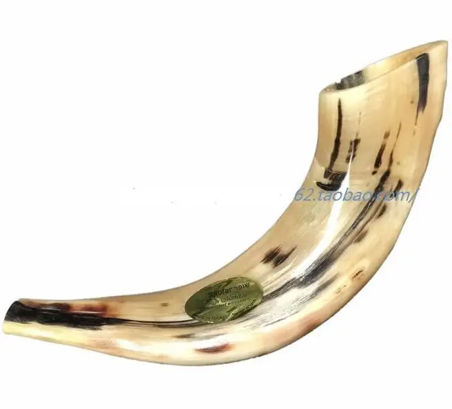 Shofar-Sheep-Horn-judaism-32.jpg