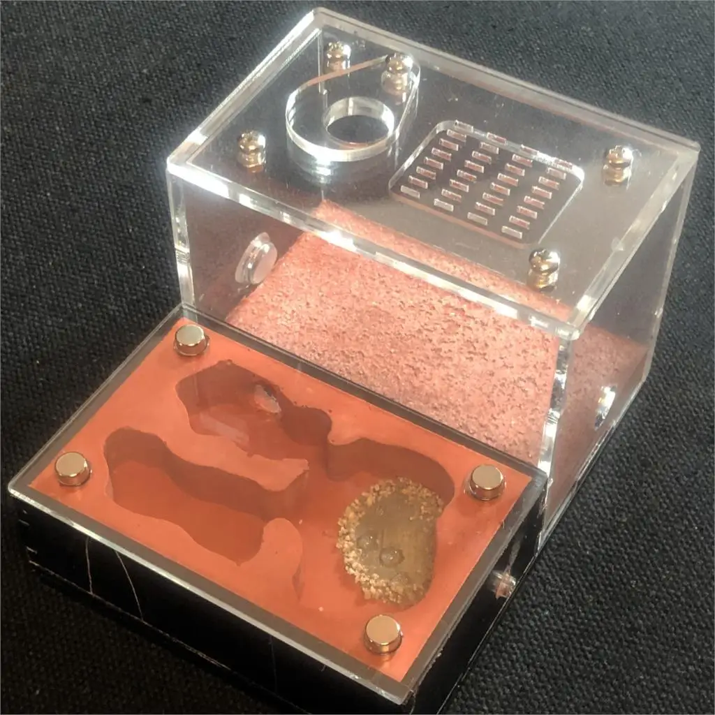 Ferme-de-Fourmis-en-B-ton-Fourmili-re-Maison-Nid-Atelier-Ch-teau-d ...