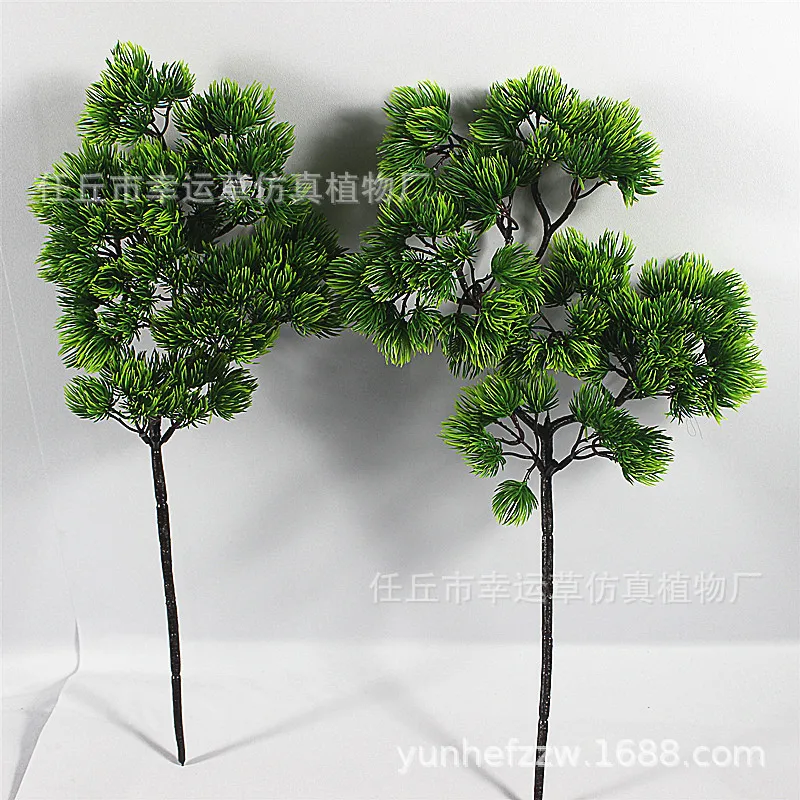 Model-Pine-Branch-False-Pine-Engineering-Pine-Needle-Pinus-Taiwanensis ...