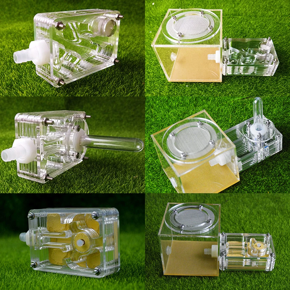 Valeur Style-E Fourmi en plâtre acrylique pour animaux de compagnie ...