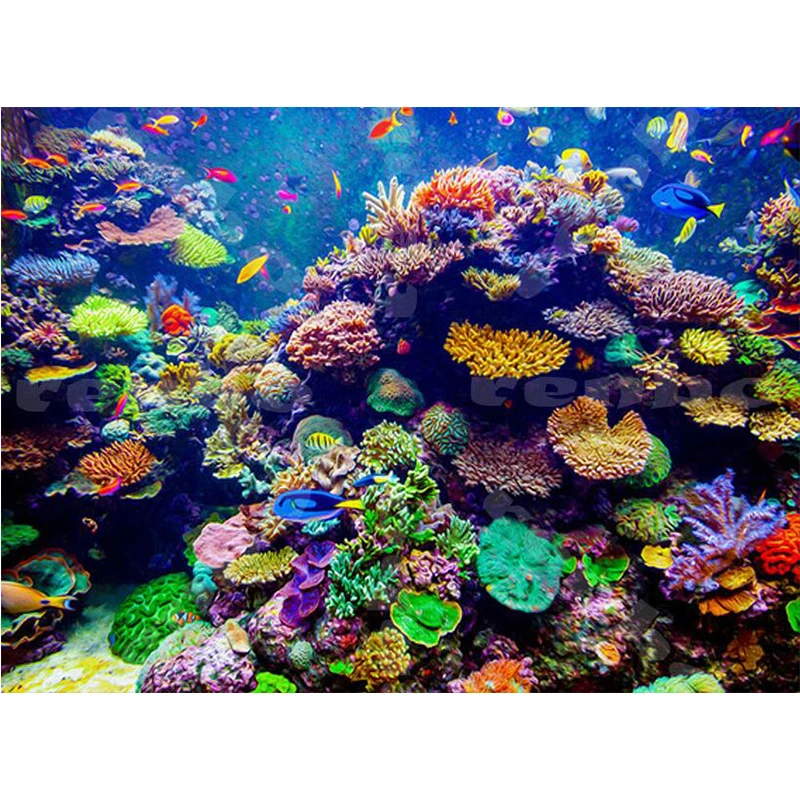 Full-Square-Diamond-Painting-Underwater-Sea-Fish-Coral-Reefs-5D-DIY ...