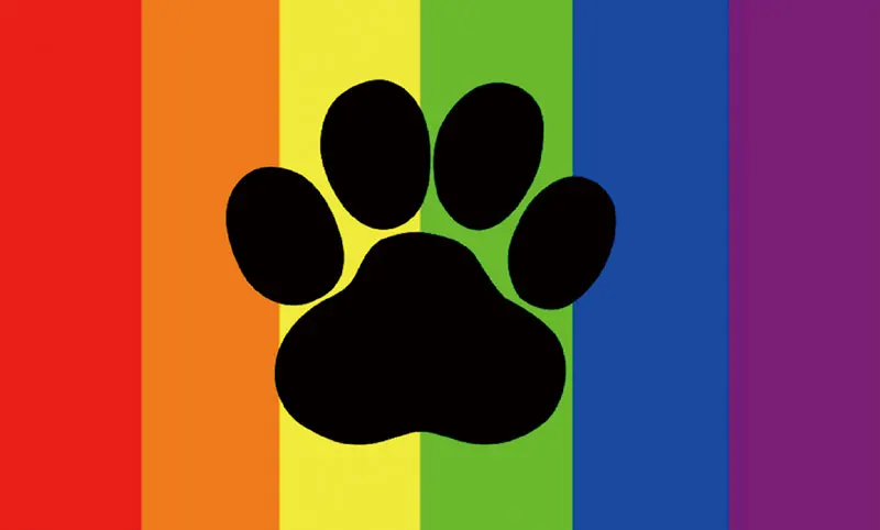 Custom-3-x5-POLYESTER-flag-of-Gay-Furry-Pride-Flag-90X150CM-with-two ...