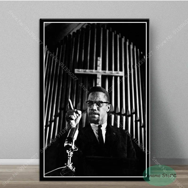 Malcolm X Gun Poster