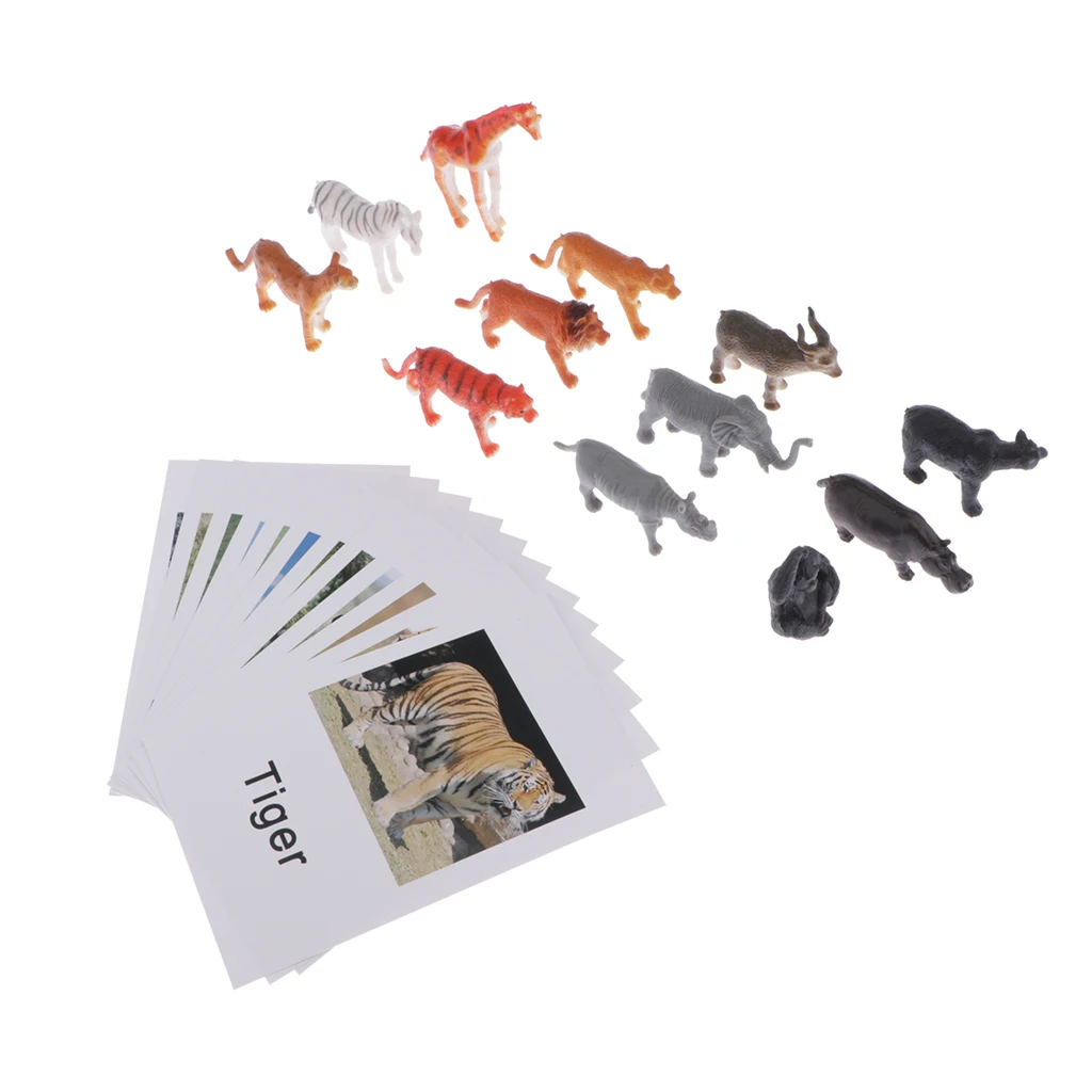 Montessori Matching Cards & Animal Figures - Set of 12 - Early Learning ...