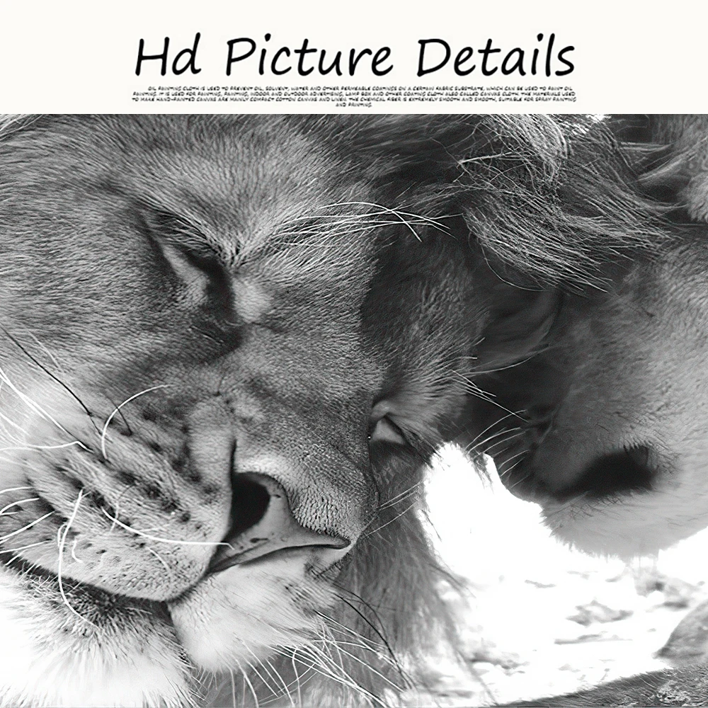 Dağ Aslanı Boyama Sayfaları