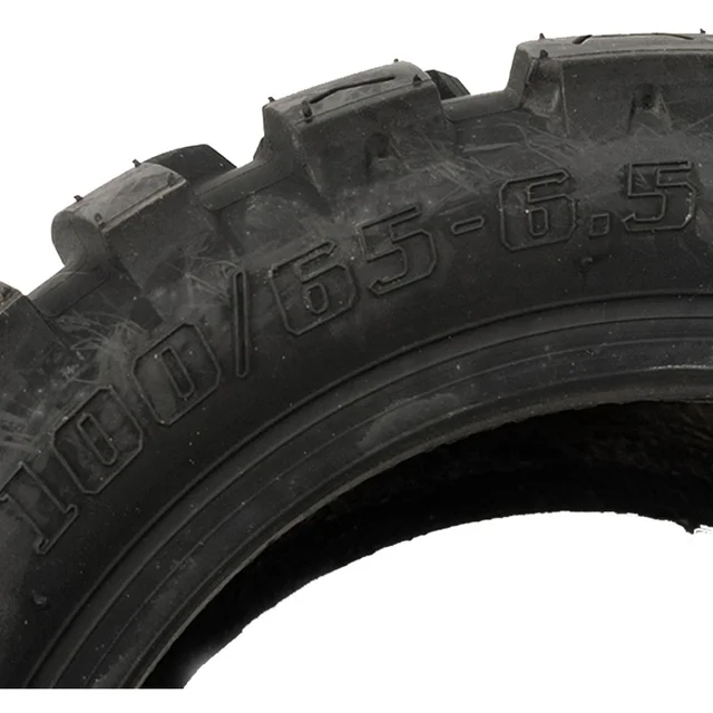 Medical Teaching Model BONEW 27cm Female Anatomical Skull Model - Half ...