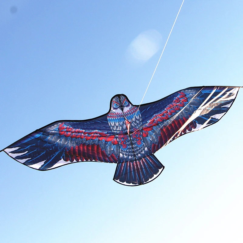 Bird Kites