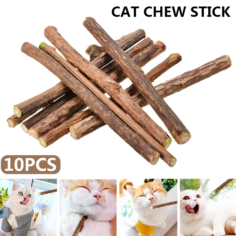 Bâtonnets à mâcher pour chat, accessoires pour animaux de compagnie ...