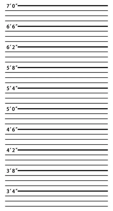 5x7FT-Classic-Mugshot-Prisoner-Prison-Height-Custom-Photo-Studio ...