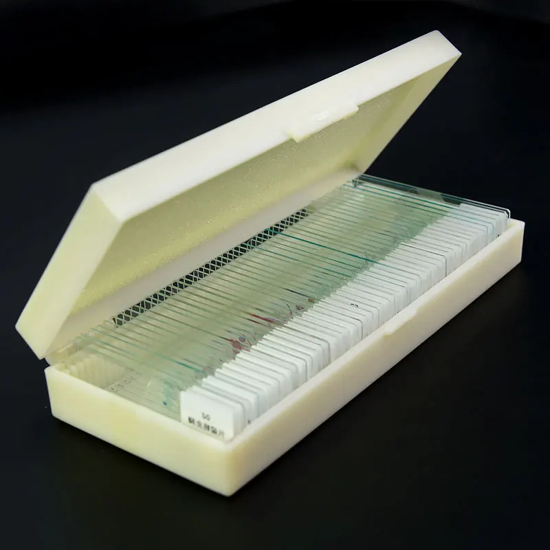 Prepared-Glass-Slides-Biological-Microscope-Slides-Specimen-Slides-for ...