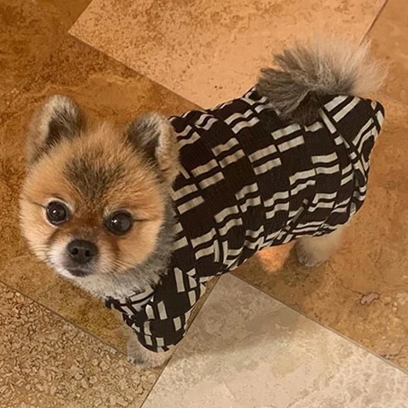 Suéter con estampado de Bulldog Francés, camiseta de verano para ...