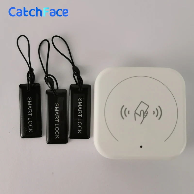 Card Encoder for Electronic RFID Door Lock System Support 13.56 Mhz ...