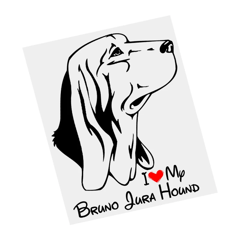 Should I Get A Bruno Jura Hound