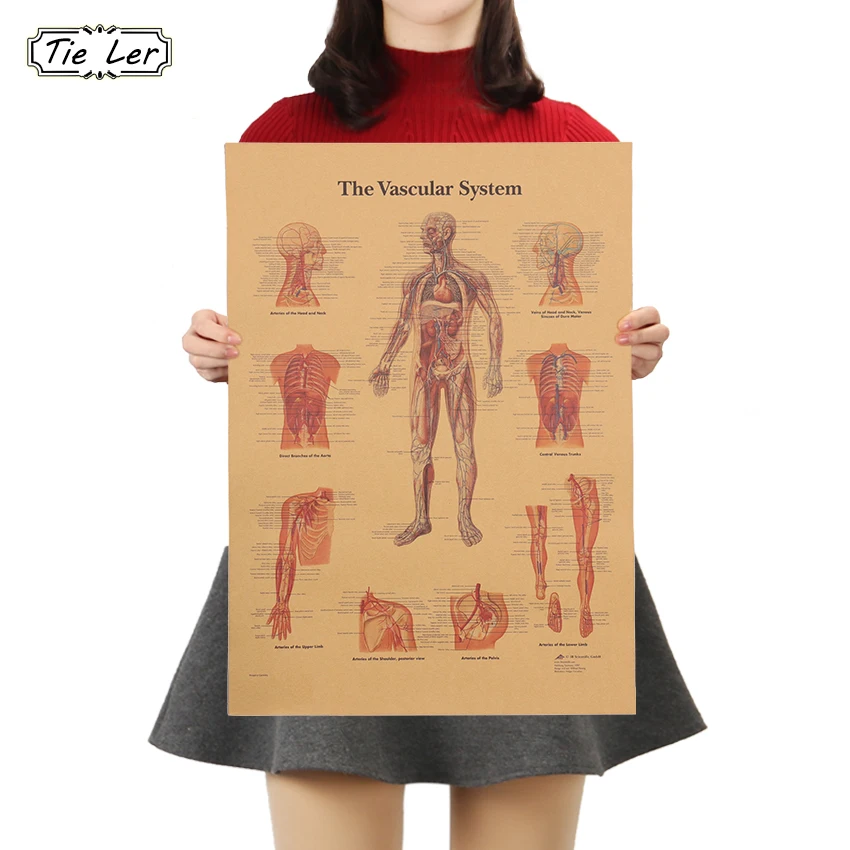 TIE-LER-The-Human-Vascular-System-Kraft-Paper-Poster-Vintage-Style-Wall ...