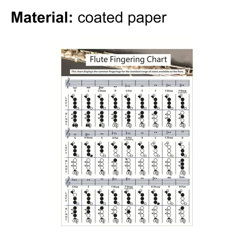 Flute Chords | ppgbbe.intranet.biologia.ufrj.br