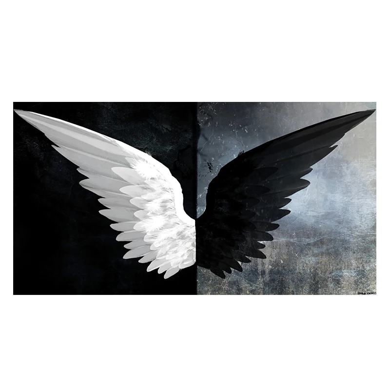 Black And White Angel Wings Wallpaper