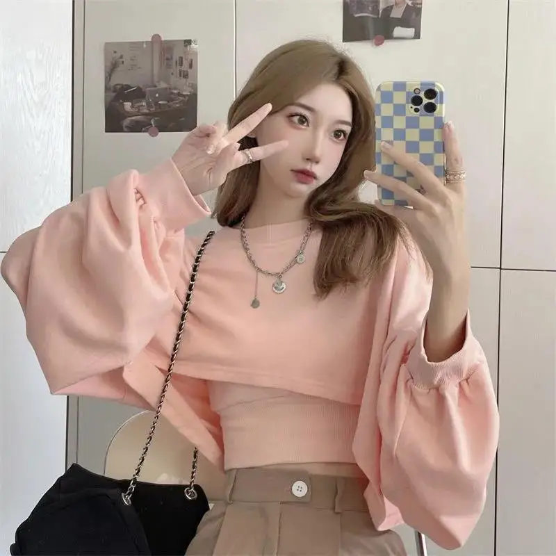 Autumn Two Piece Suit Hoodies Women Korean Loose Bat Sleeve Tops ...