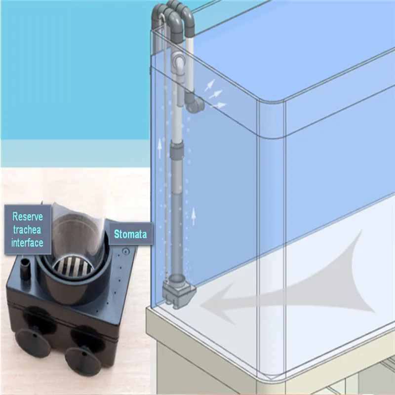 New Model No Drill Hole Non-perforated Sump Bottom Filter No Need Hole ...