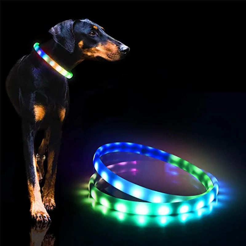Collar LED para perro con carga USB, luz cambiable de Color, luces ...