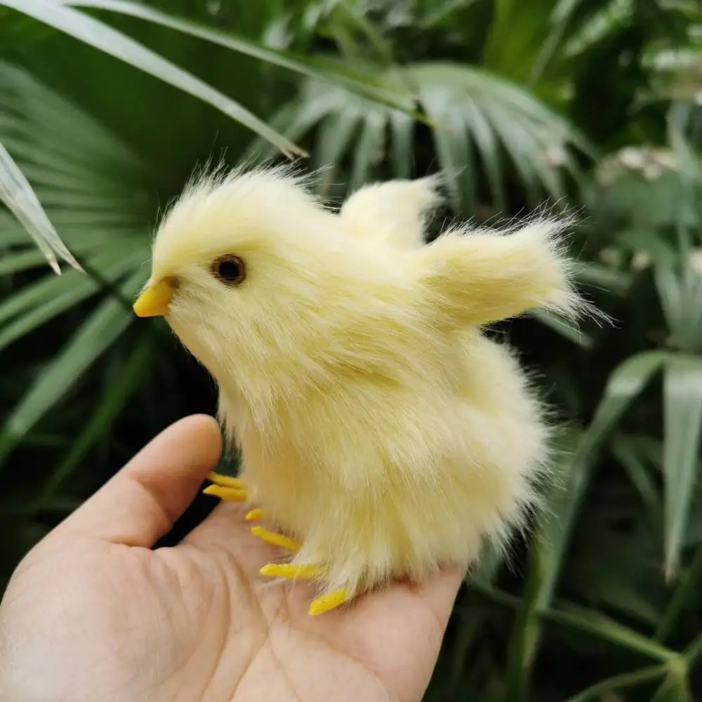 Fluffy Baby Chicken