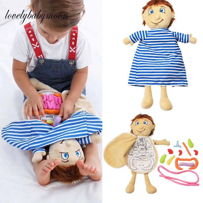 Human Body Model Anatomy Doll Soft Doll Toy Anatomical Medical Internal ...