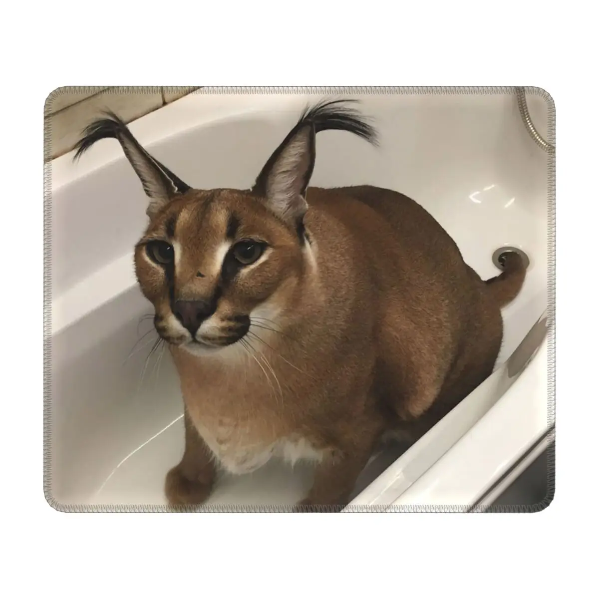 Floppa sevimli Meme oyun Mouse Pad özelleştirilmiş kaymaz kauçuk taban ...