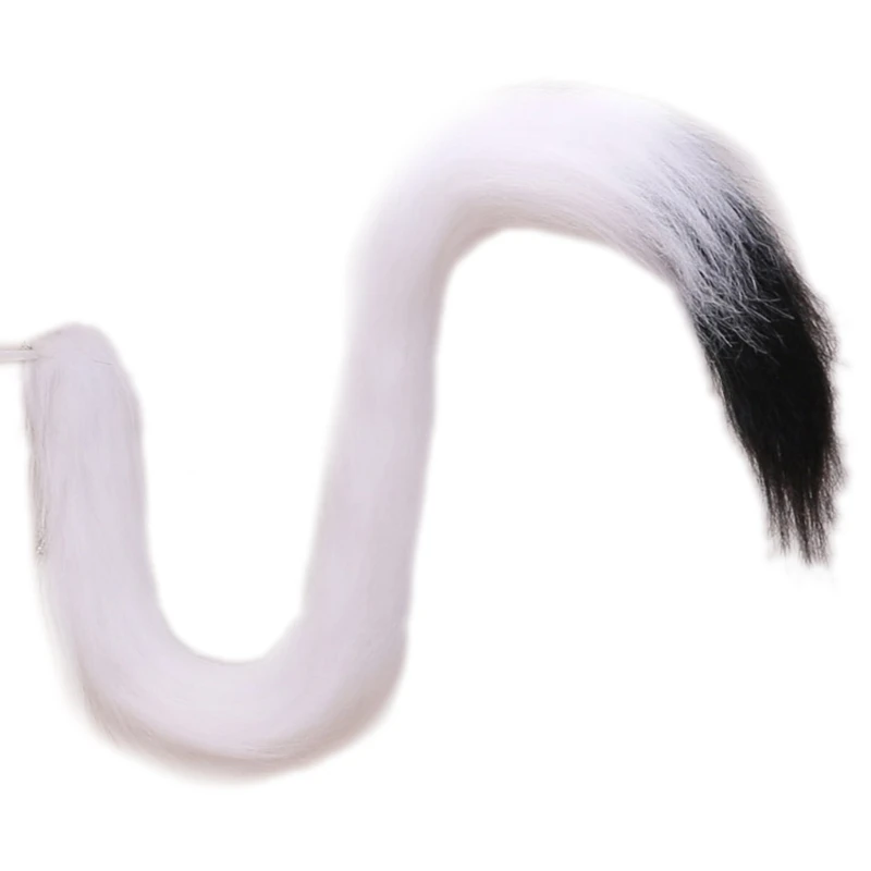 Cat Tail Transparent