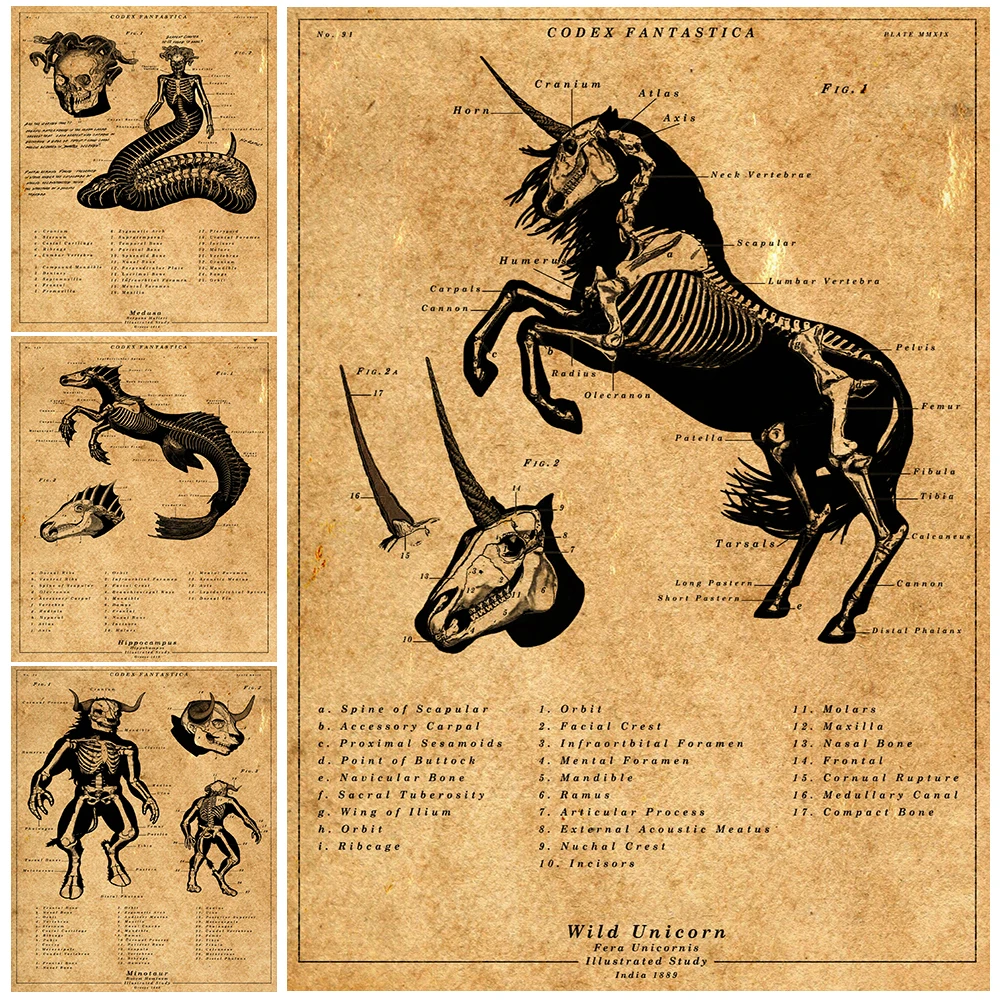 Unicorn,Medusa,Minotaur,Anthropoid Skeleton Science Anatomy Poster And ...