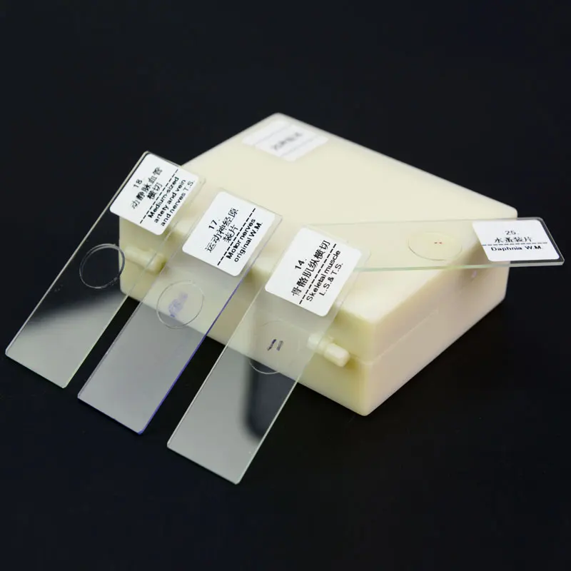 25 Pcs Prepared Glass Microscope Slides For Children Student Biological ...