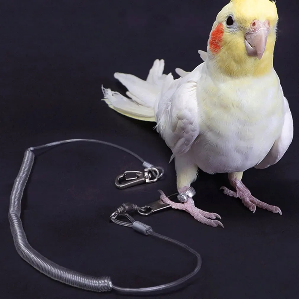 Alloy Leg Ring Flexible Bird Chain Belt Anti Bite Plastic Wire Rope ...