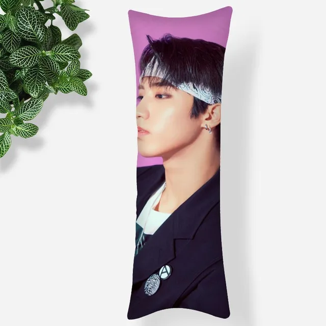 Room Interior Vintage Body Pillow Covers Case Protector Pillowcase ...