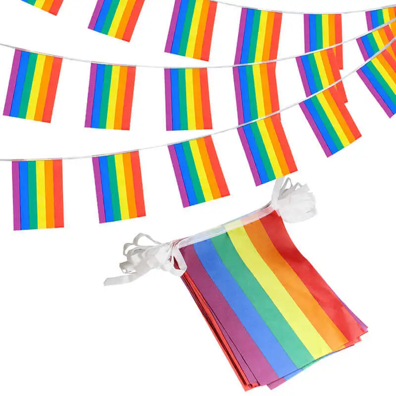 Bandera-del-orgullo-Gay-banderines-arco-ris-de-25-piezas-26-unidades ...
